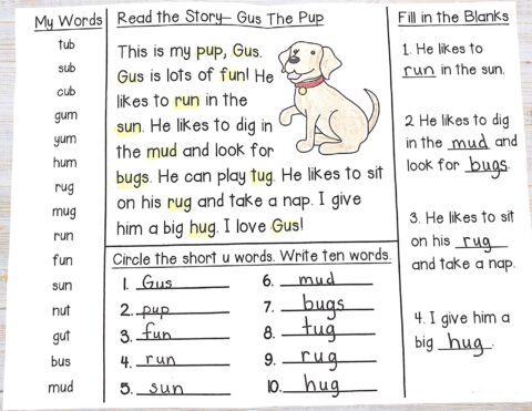 Homeschool Phonics: Teaching Your First Grader to Read at Home - First ...