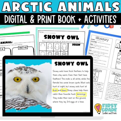 Engaging Arctic Animals Printables - First Grade Centers and More