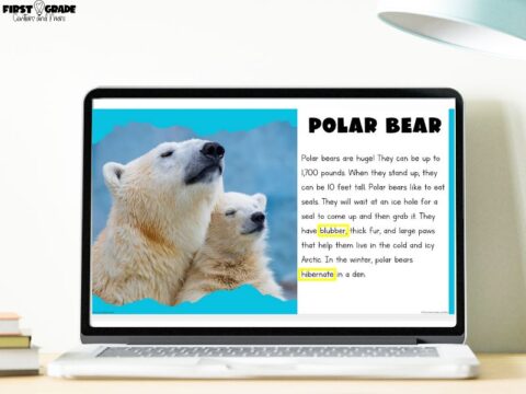 Engaging Arctic Animals Printables - First Grade Centers and More